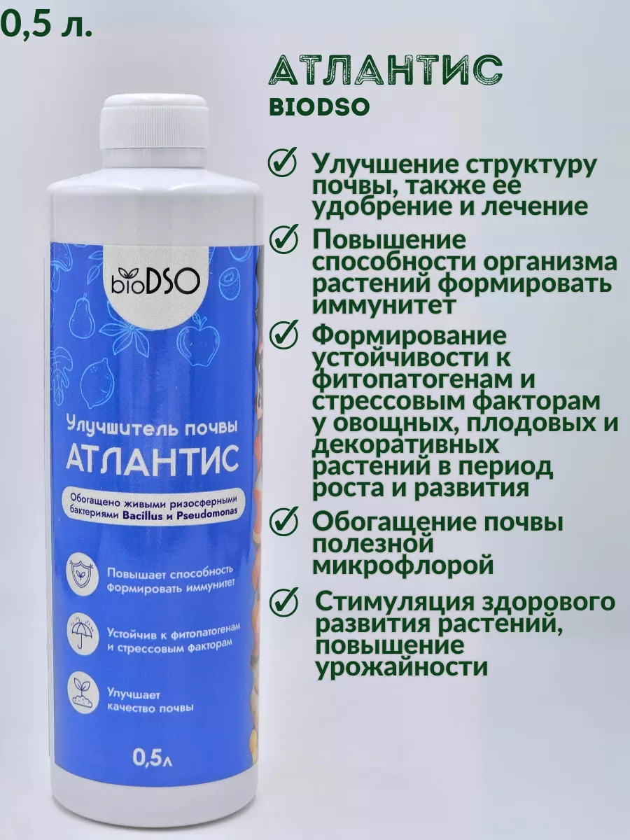 Wildberries — интернет-магазин модной одежды, обуви и аксессуаров