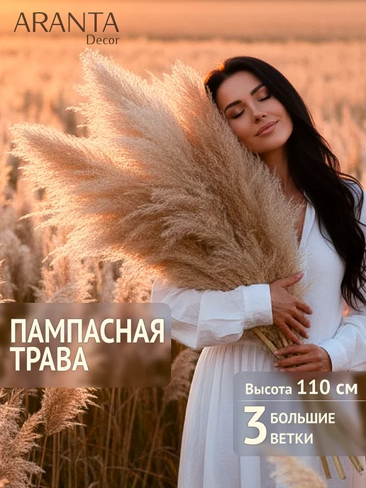 Сухоцветы для декора и интерьера Пампасная трава высокая ARANTA